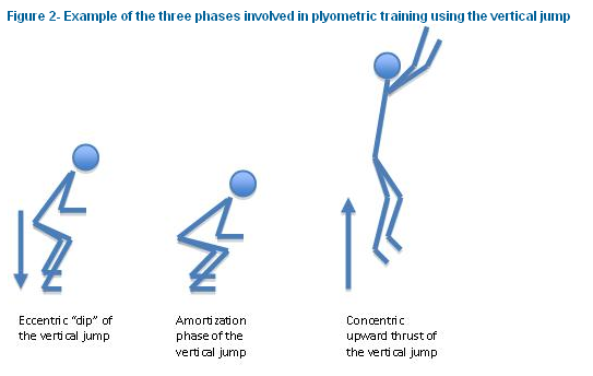 Principles of Strength and Conditioning: Plyometric training: improving ...