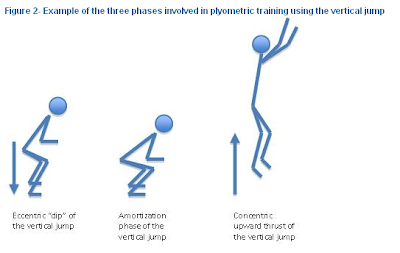 Principles of Strength and Conditioning