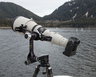 LIGHT Photographic Workshops: Long Lens + Stability = Great Performance