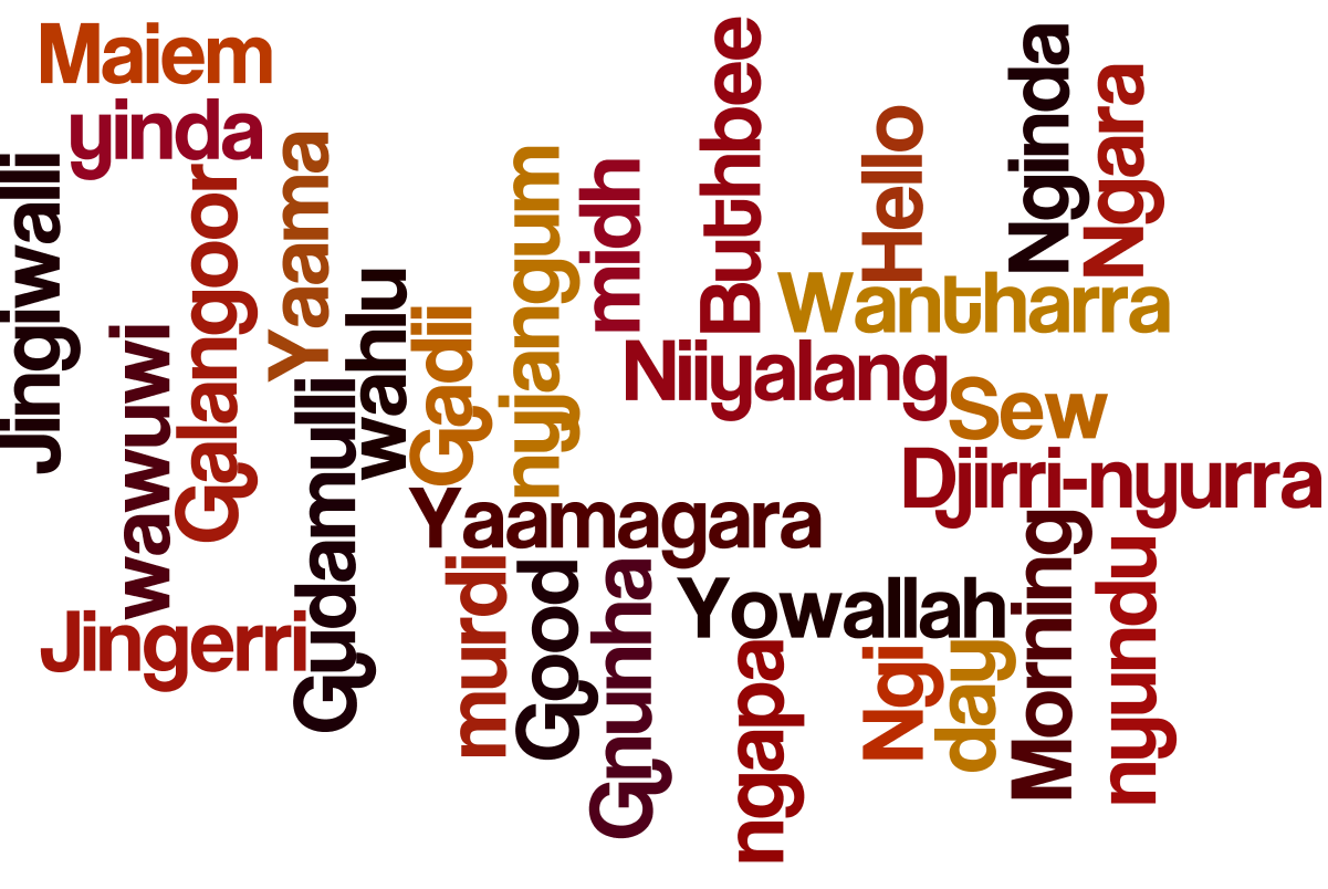 Indigenous language revitalization and new media: Postsecondary ...