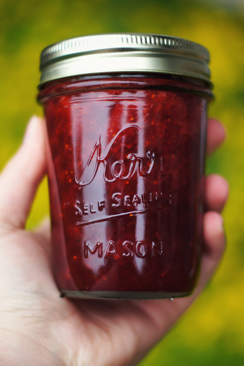 A Delightful Journey: Jam: Beginners Edition