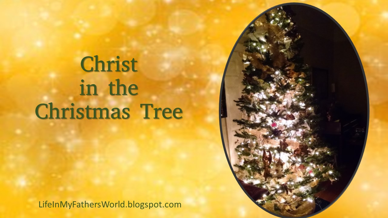 Life In My Father's World: Christ in the Christmas Tree