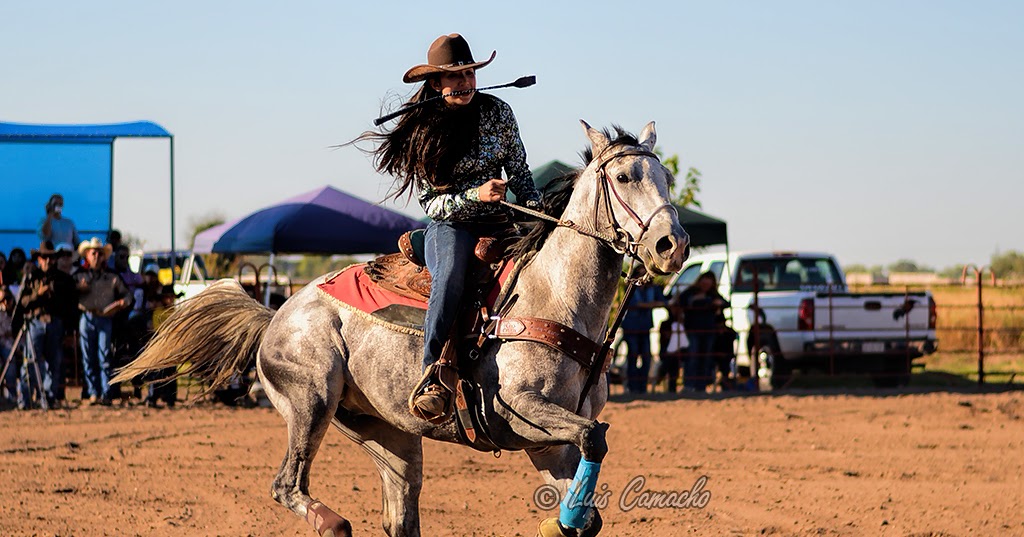 A TODO GALOPE | Tribuna Delicias