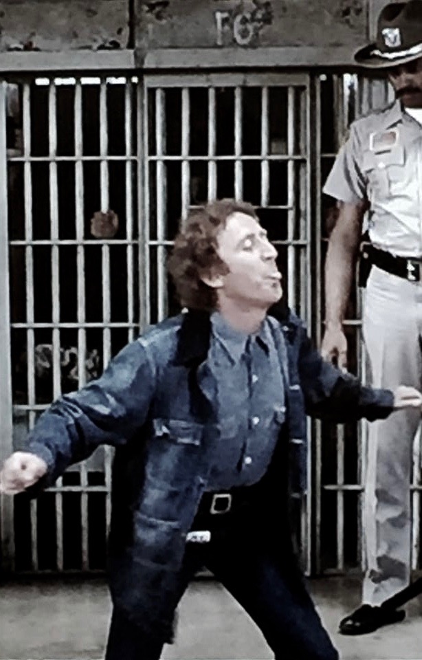 cult film freak: GENE WILDER & RICHARD PRYOR BREAKOUT IN STIR CRAZY