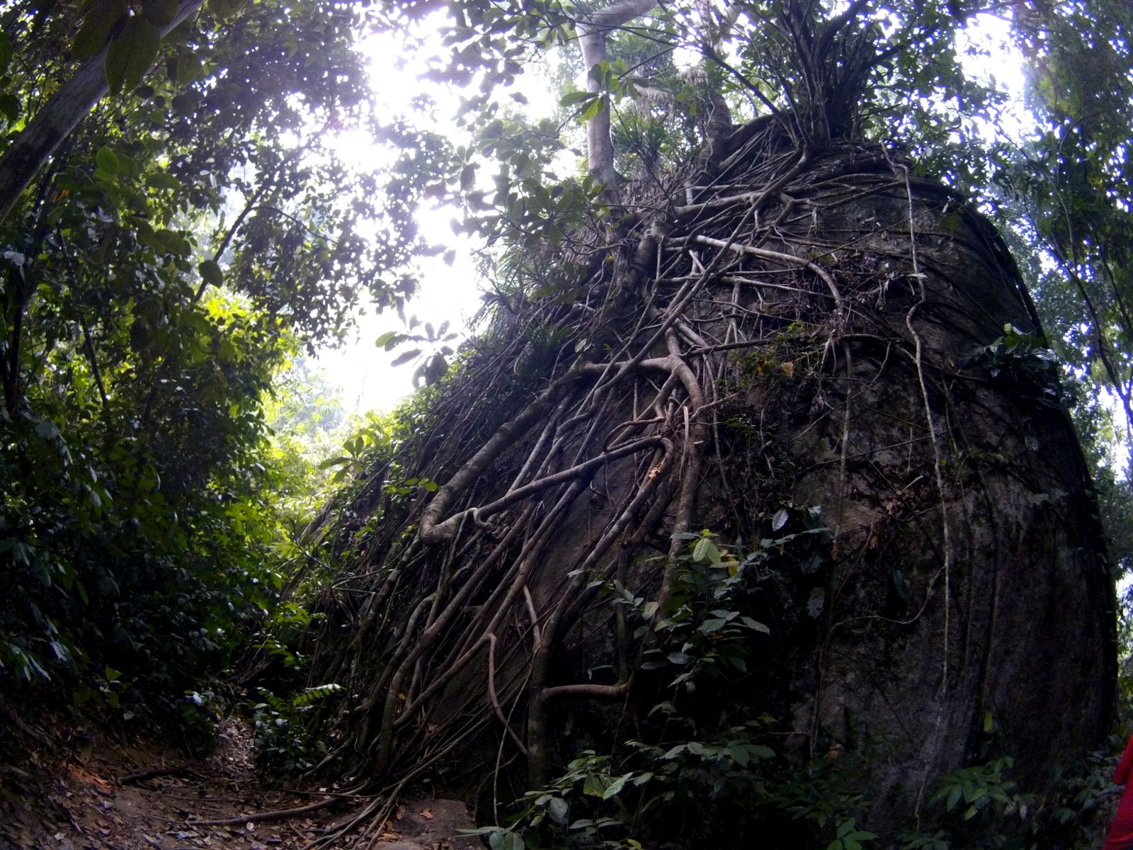 Outdoor Malaysia | N. Sembilan | Gua Batu Maloi Caving Package