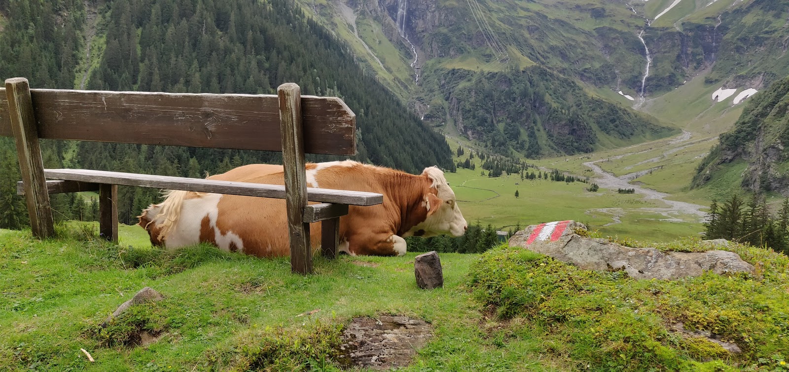 Mis viajes en autocaravana: AUSTRIA VERANO 2018