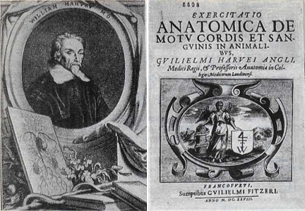 April 16, or Circus and Circulatory System