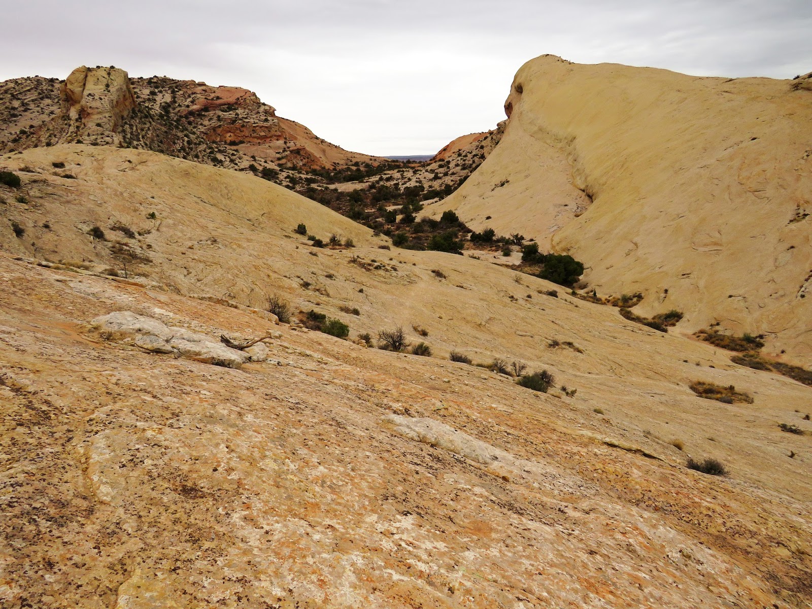 Around the Bend Friends ®: Procession, Wolfman and Sand Island Panels ...