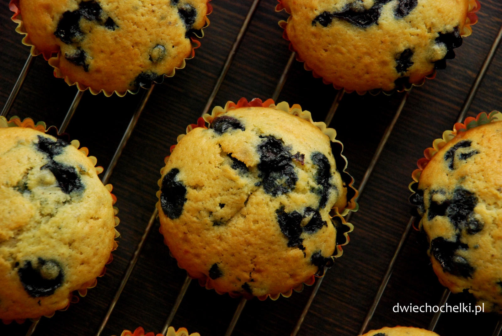 Dwie Chochelki: Klasyczne muffinki z jagodami
