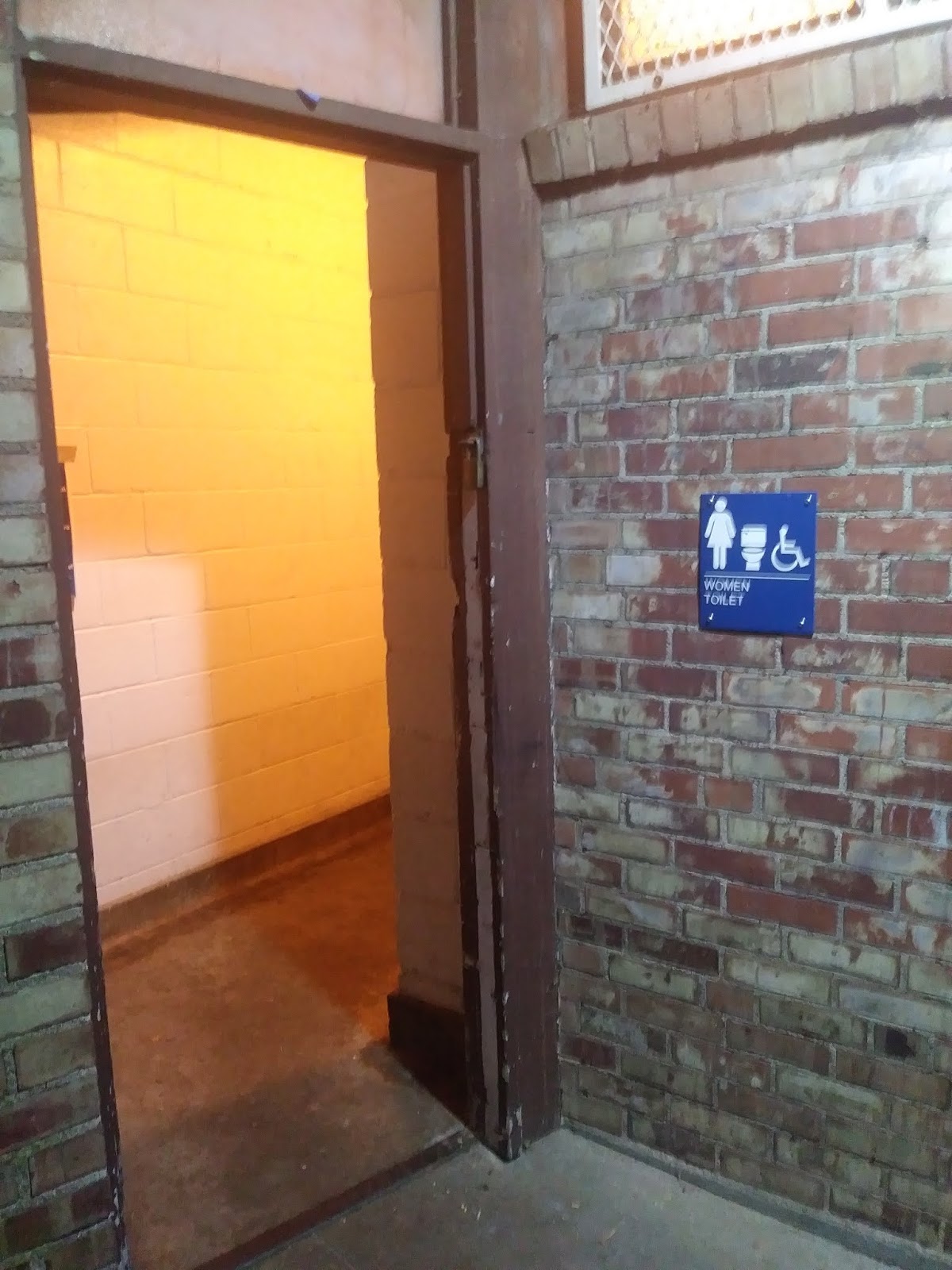 My Seattle Parks Diary: A Night View of View Ridge Playfield, and a Name