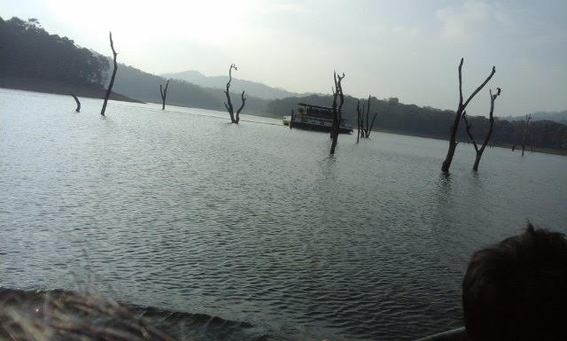 Thekkadi Eco Tourism and Boating | what to do at Thekkadi Idukki