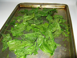 Powell River Books Blog: Preserving: Freezing and Drying Spinach