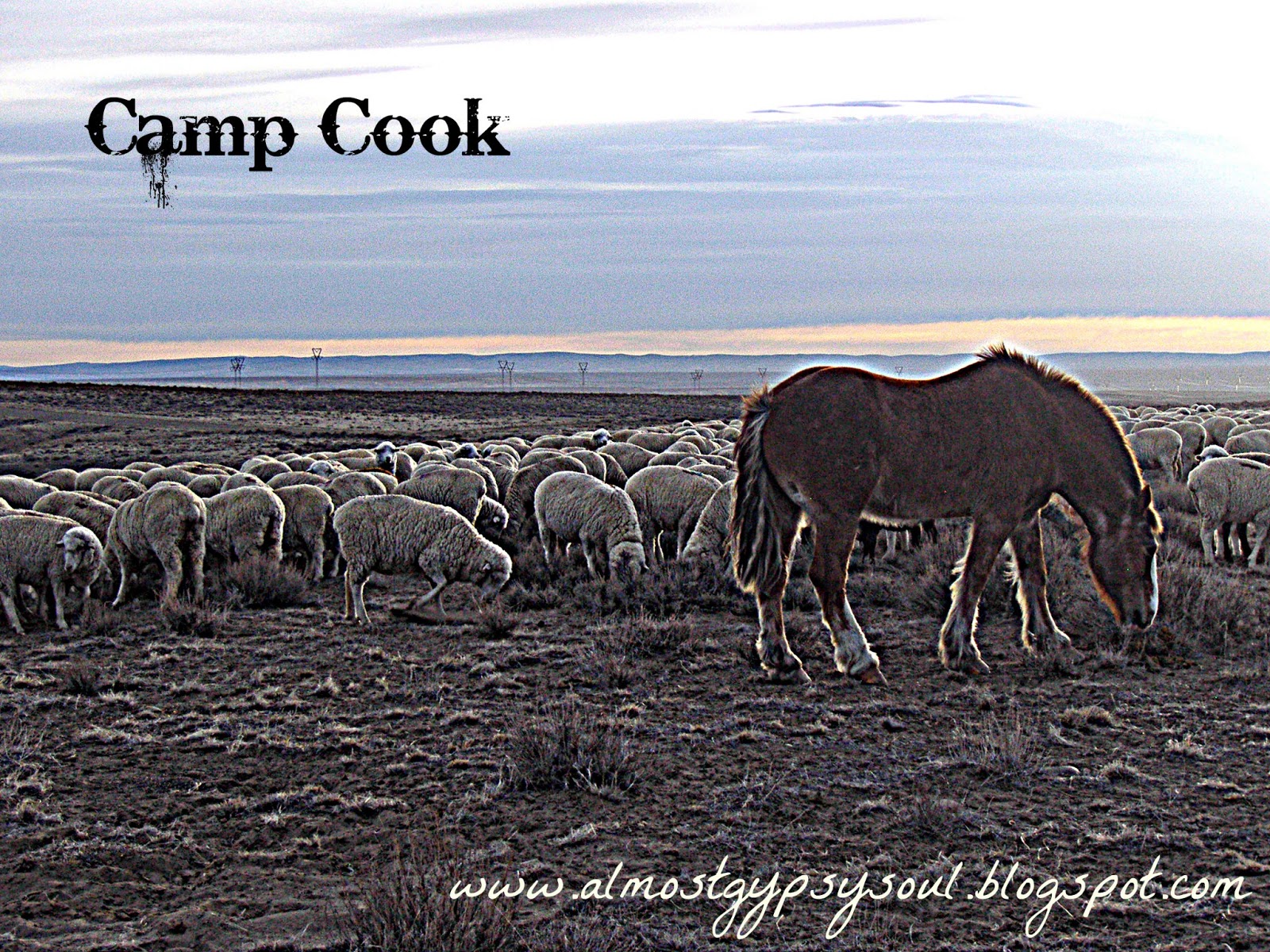 [Sweetwater Series] a day at sheep camp