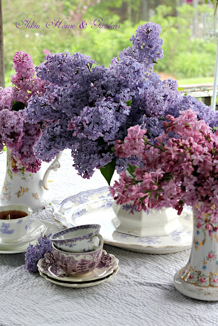 Aiken House & Gardens: It's Lilac Season in our Garden