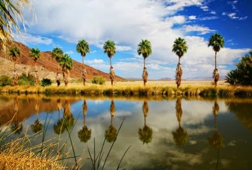 Pelik! Zzyzx, Nama Bandar di Amerika Yang Bikin Lidah Terbelit. - Gaban ...