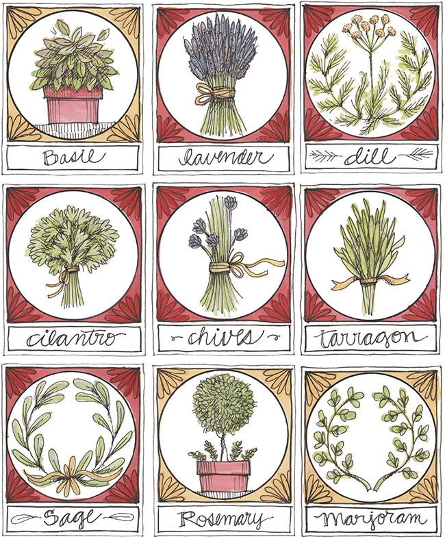 Lisa Orgler Design: A SET OF HERBS