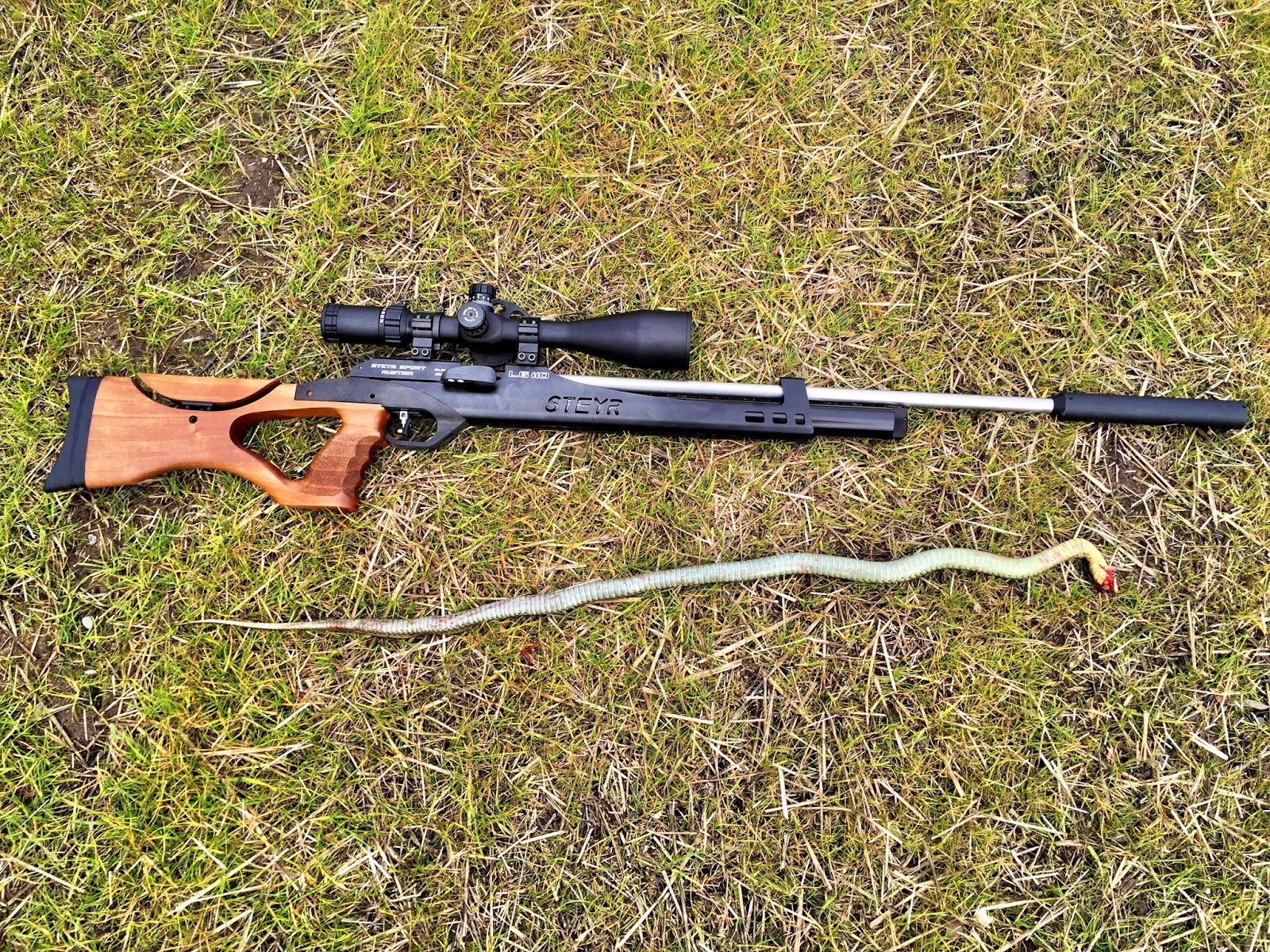 The mighty Steyr LG110 prevails!