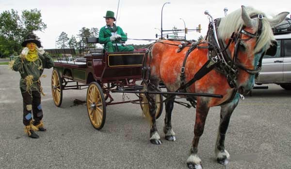 Judy Garland - Letter from Home: Hamilton Meserve - Son of the Wicked ...