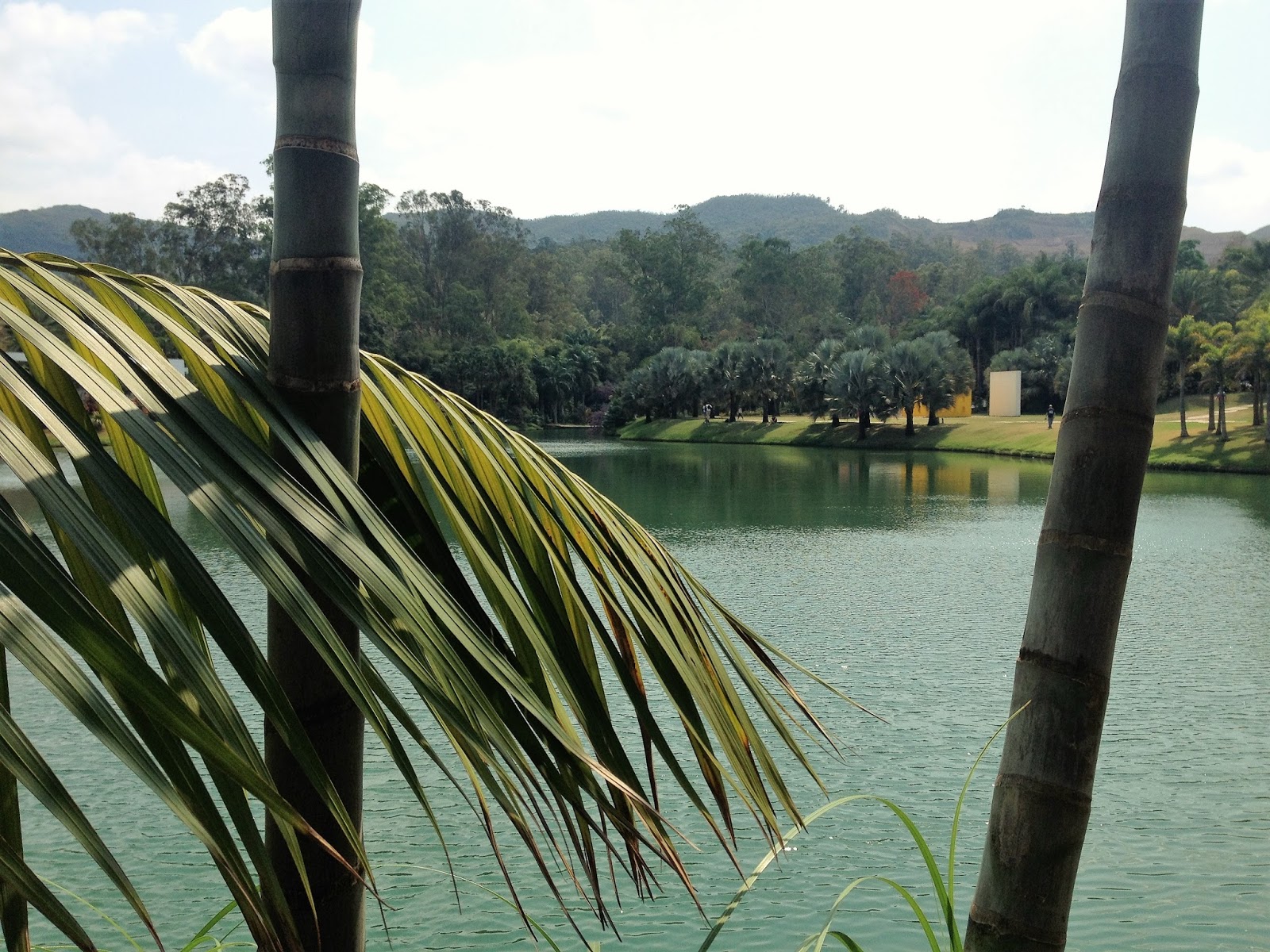 Inhotim: O maior museu de arte ao ar livre da América Latina | Explore ...