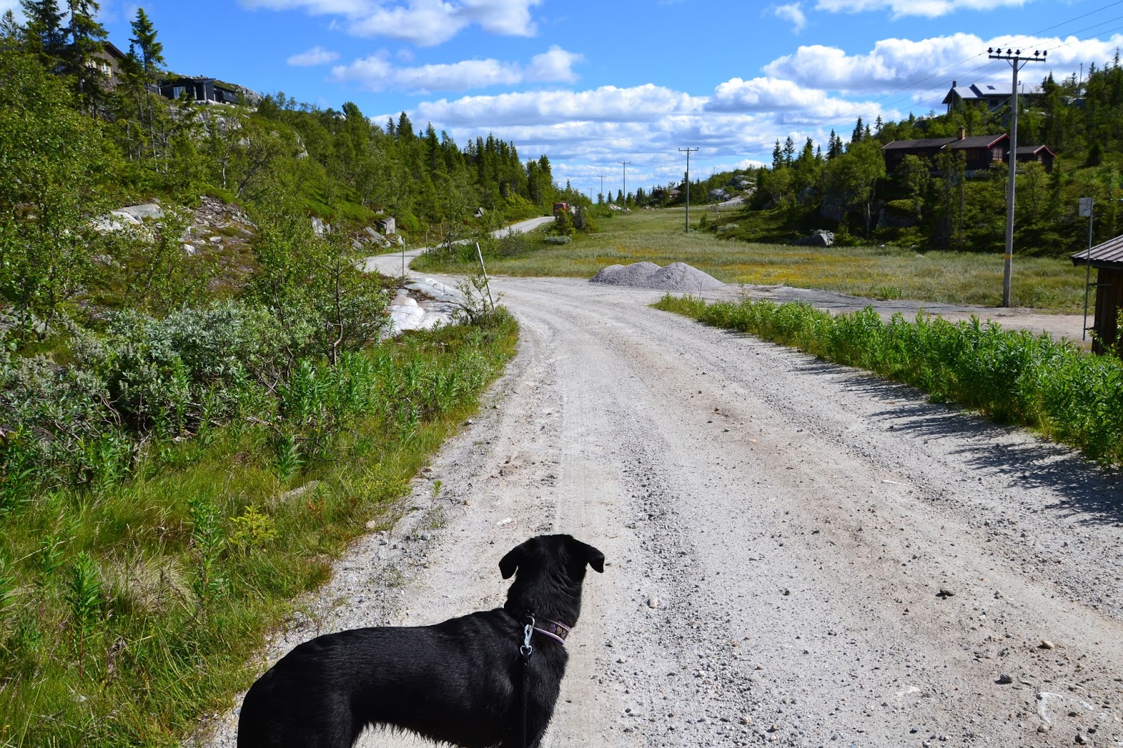 Rundtur Tempelseter - Steinveggen - Donkeliåsen - Neverfantetjenn ...