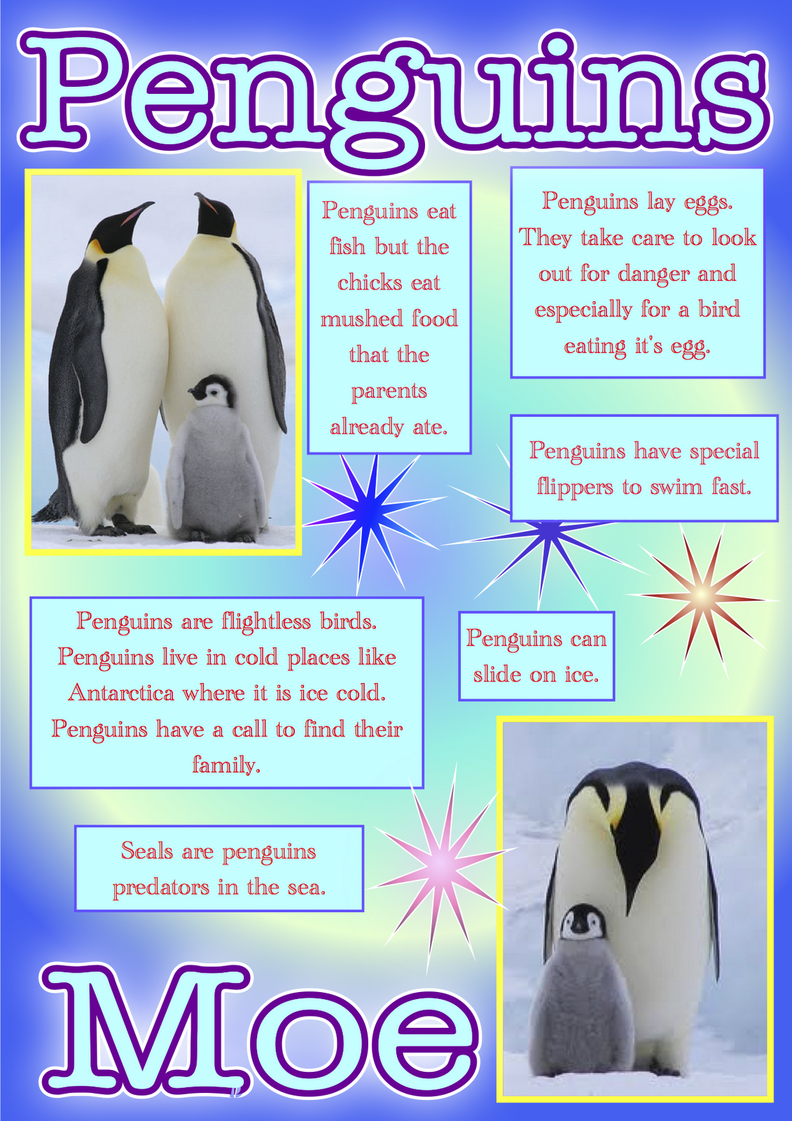 SPS Superstars: Penguin Posters