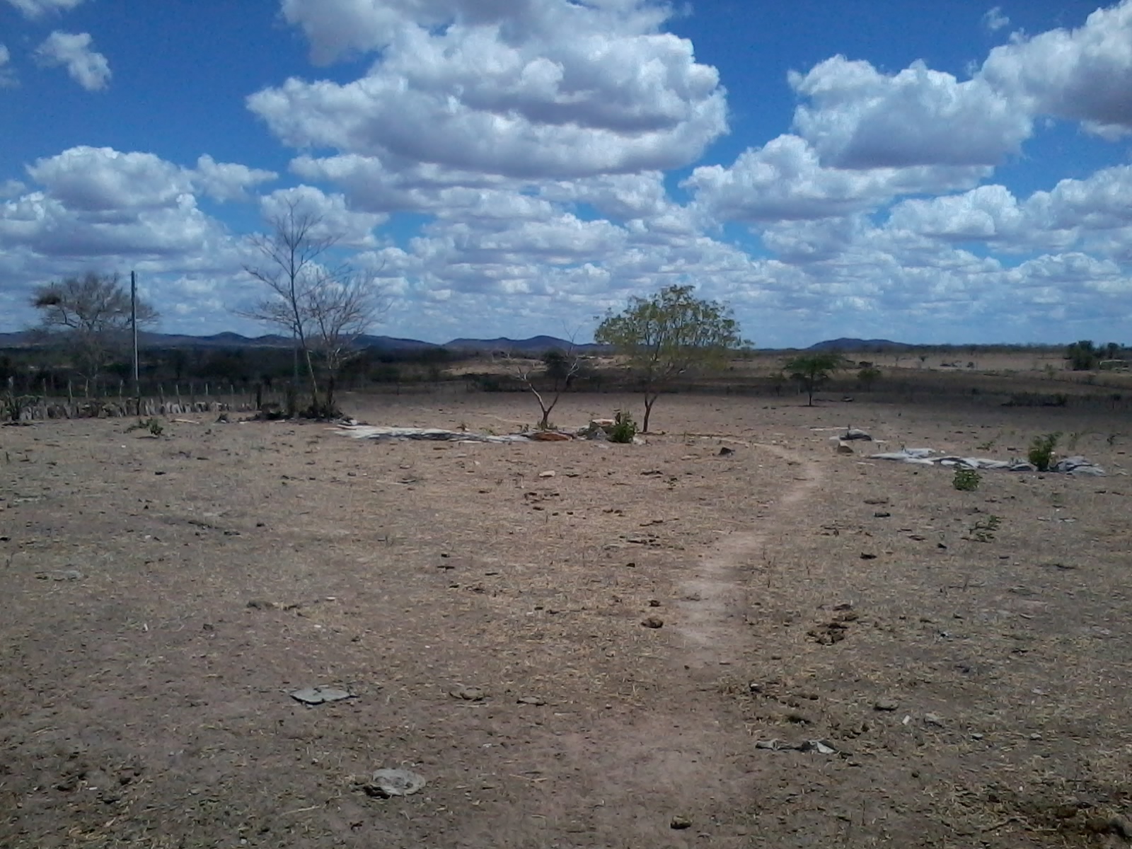 Douglas Vídeo: A seca modifica a paisagem do sertão