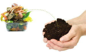 Advantages of making food waste into organic fertilizer