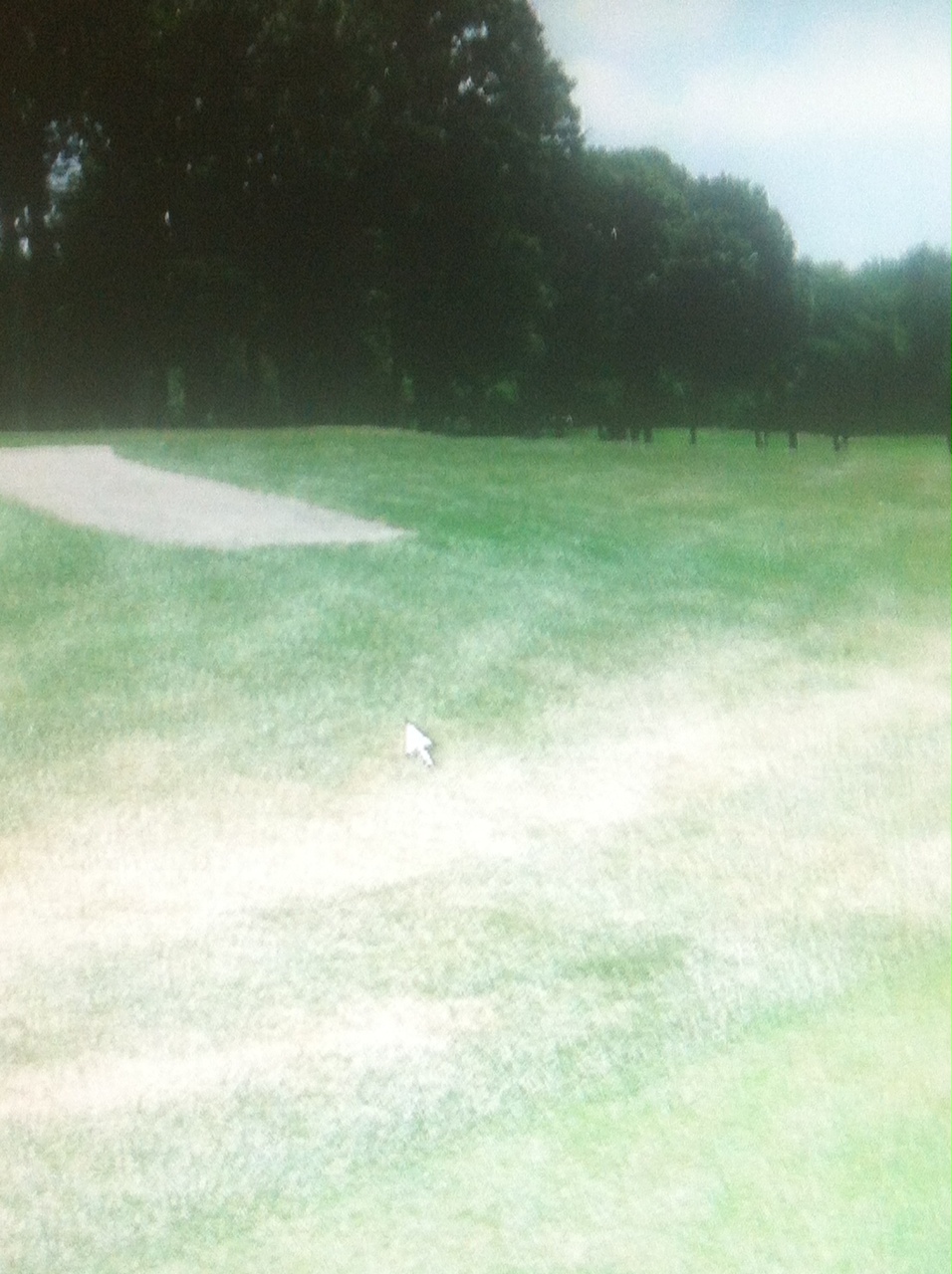 Northmoor Country Club Golf Course Operations: July 2013