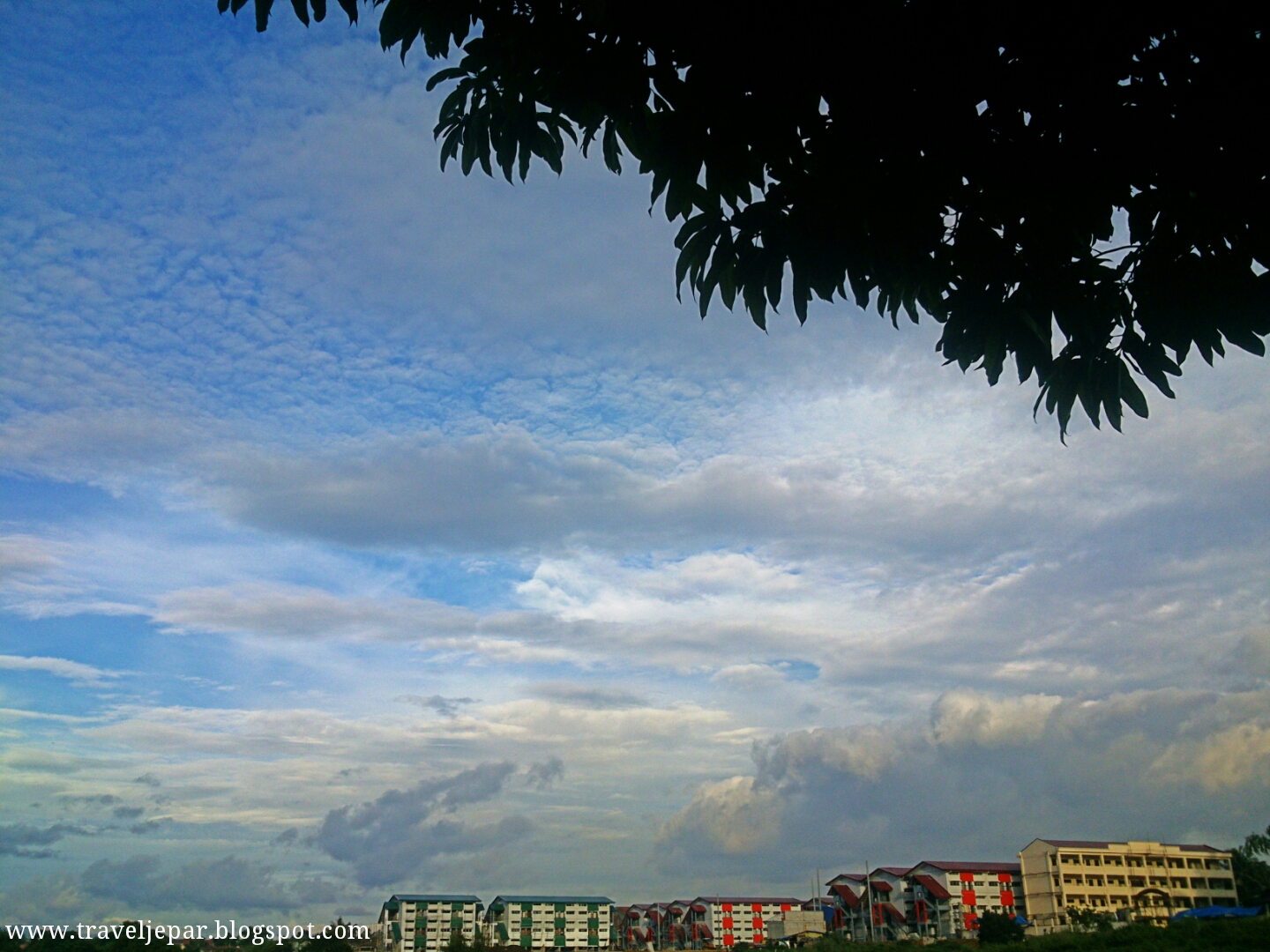 Bignay Farmland | Valenzuela City