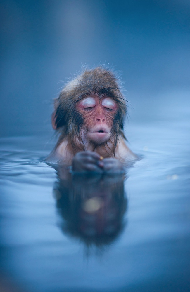 COSAS CURIOSAS - CURIOSIDADES DEL MUNDO - UN BLOG PARA CURIOSOS ...