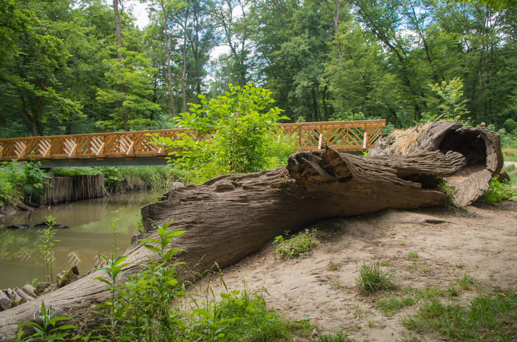 Kirándulásaim hegyen,völgyön.....: A Gaja patak völgyében / Fehérvárcsurgó