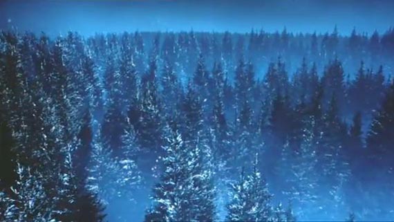 Christmas TV History: Doctor Who Christmas: The Doctor, The Widow and ...