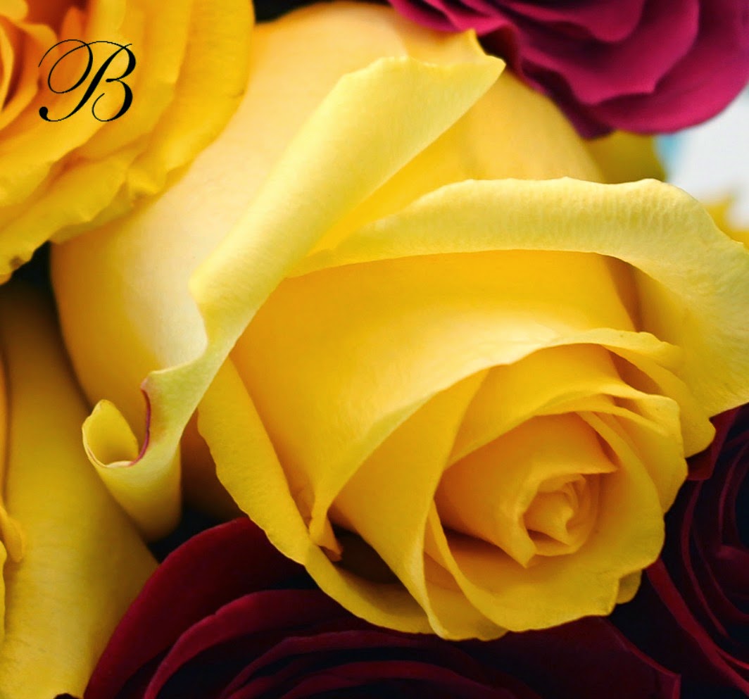 Bank of Flowers: Roses are Red...and Lavender and Yellow and Pink and...