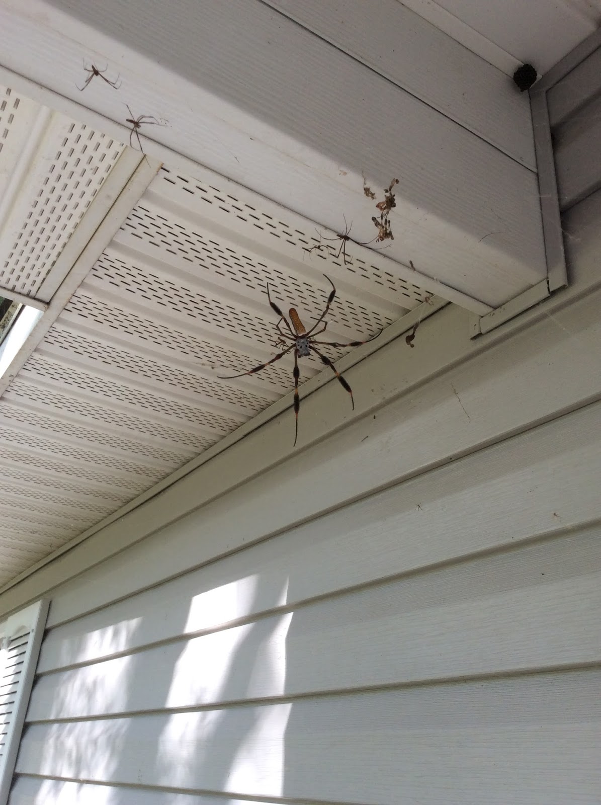 Elder Guinup: August 2016