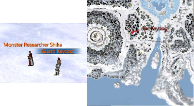 Rappelz Epic 7 guide: Rappelz level 130 quest (Ice Maiden quest)