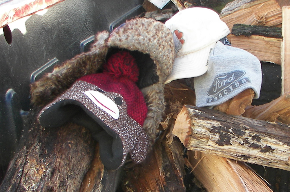 The Small Hold - Will Not Go Down Without a Fight: The Small-Hold ...