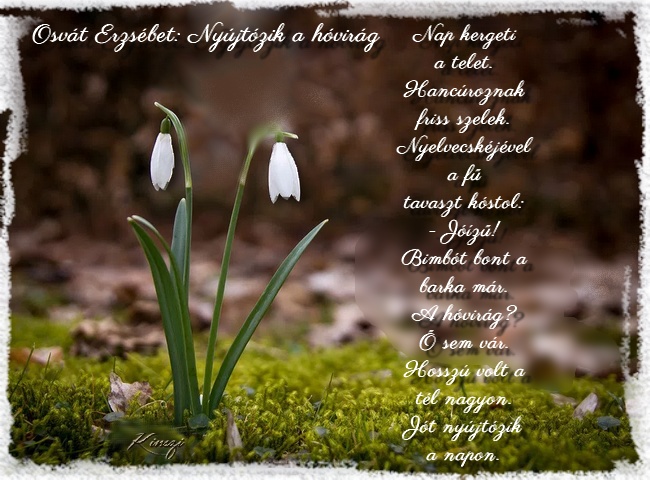 Kinszi Böngészde: Tavaszi képek - idézettel