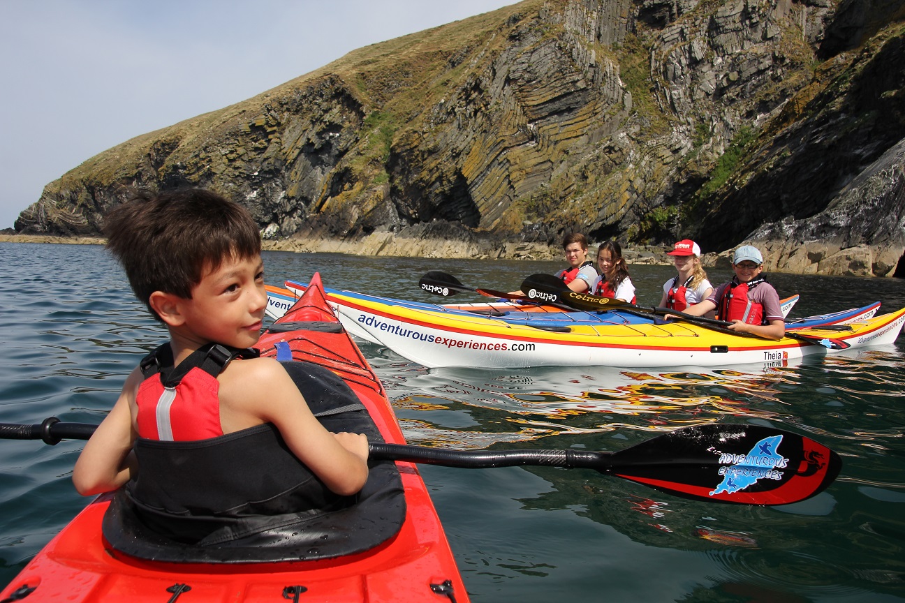 Adventurous Experiences Blog: baby Basking Shark