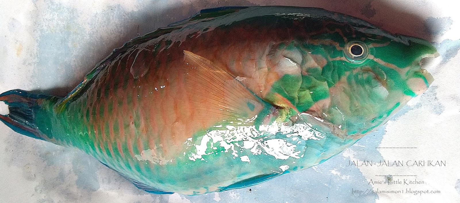 Kenali Pelbagai Jenis Ikan di Pantai Timur Sabah - Amie's Little Kitchen