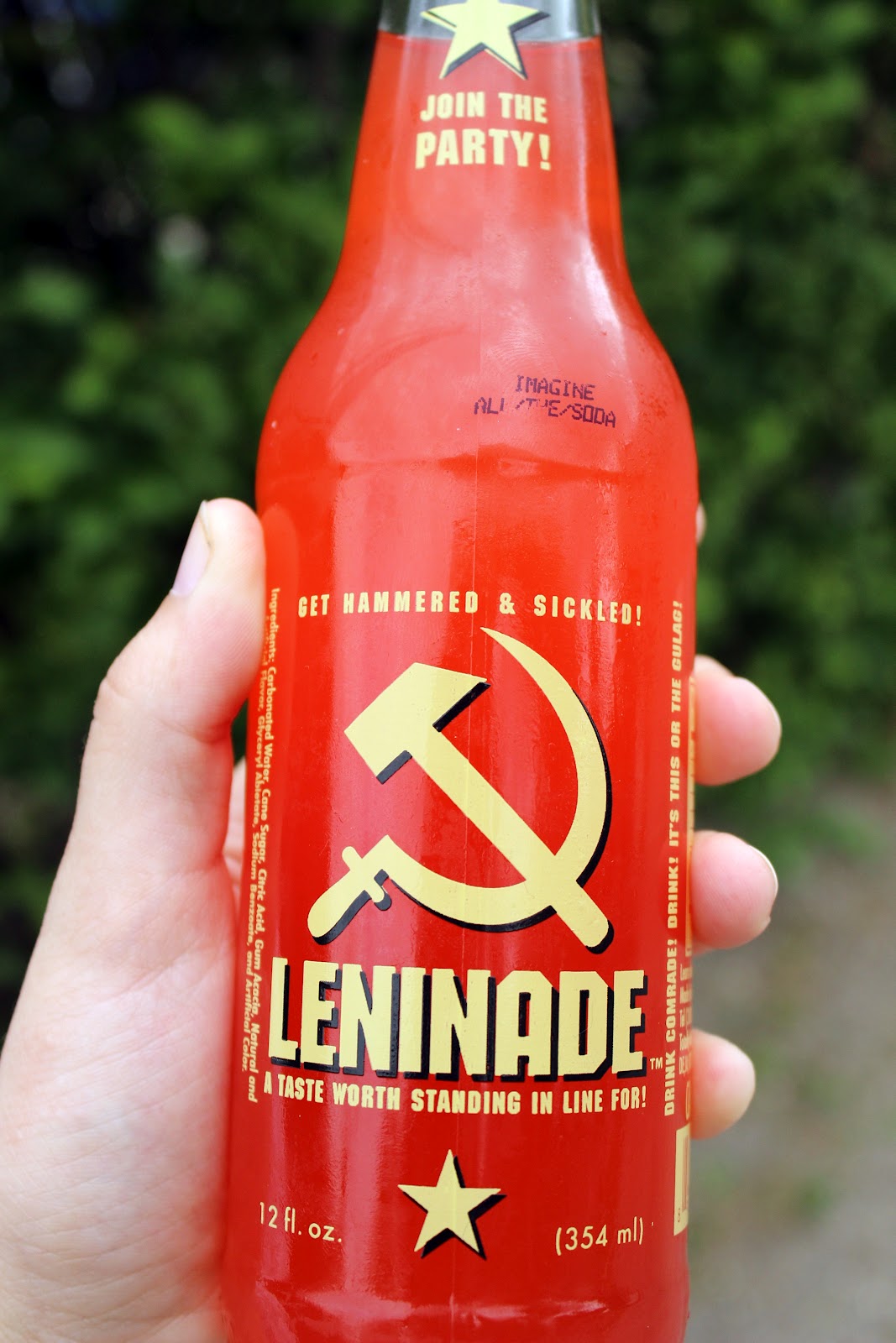 Shipwrecked!: Legos and Leninade