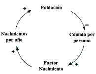 diagramas causales