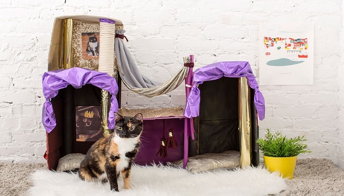 Welcome to the blog for:: Fun Idea: Design and Build A DIY “Palace” For ...