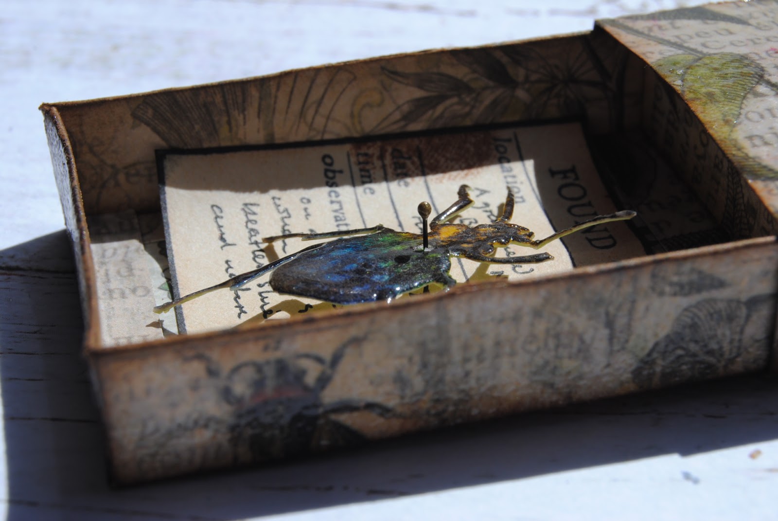 Paperwishesbyamanda: Insect in a Matchbox