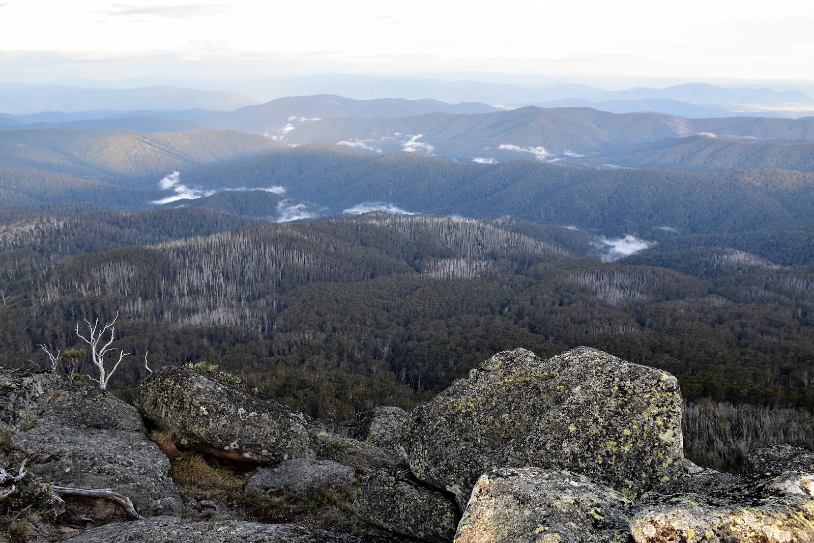 Goin' Feral One Day At A Time: Cleve Cole Hut to Mt Wills, AAWT, Alpine ...
