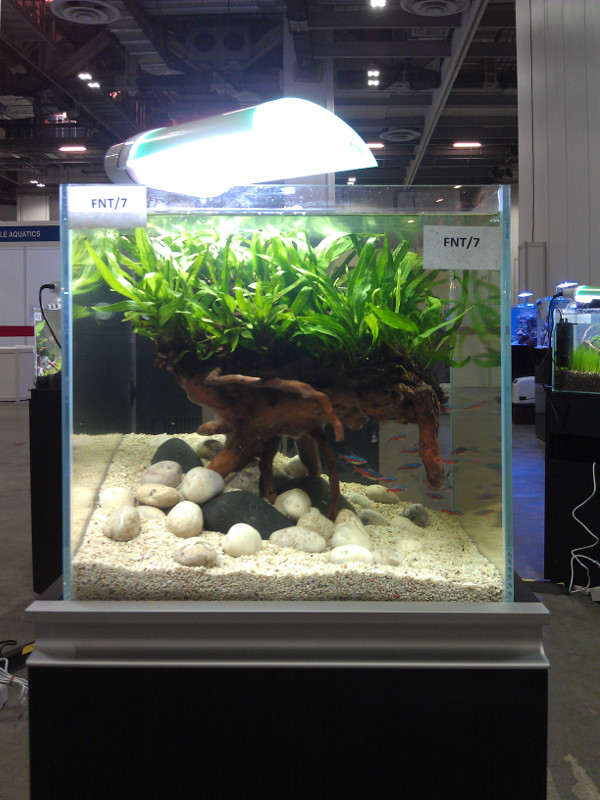Aquatic Art: Aquarama 2013 Planted Tank Competition