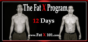 Fat Burning Workouts - 12 Day Program - Workout Videos- Free Tips: MMA ...
