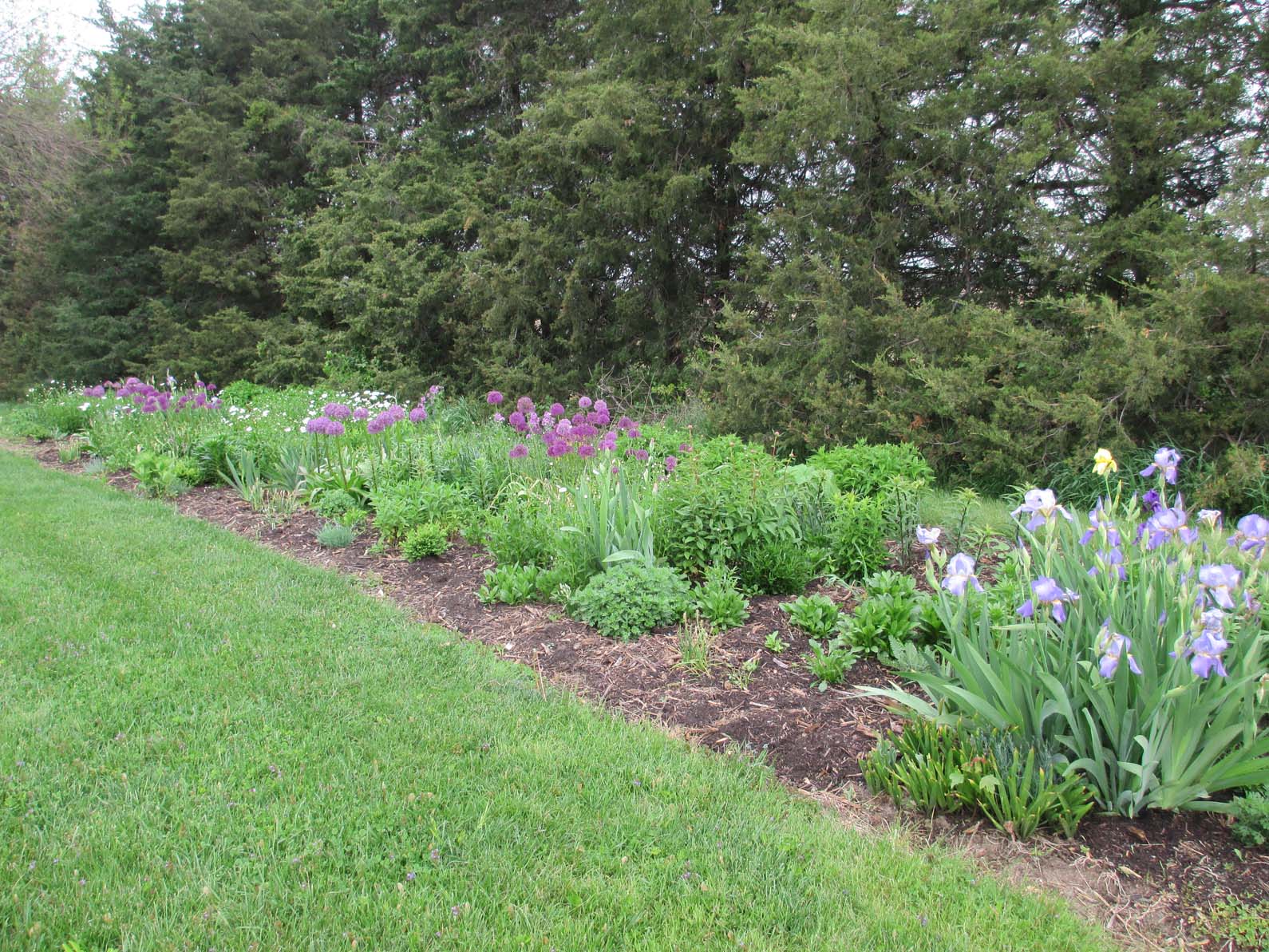 Garden Fancy: My New Winter Border
