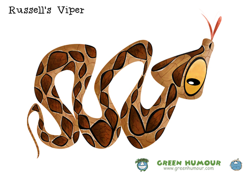 Green Humour: The Big Four!