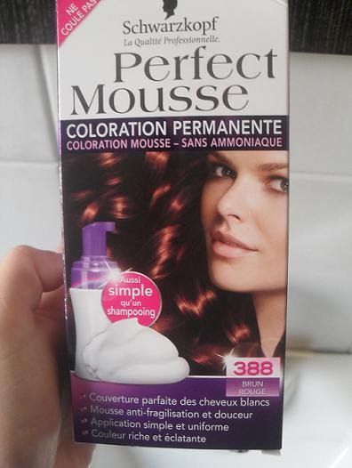 Fashionxxhurts: J'ai testé : la coloration Perfect Mousse de ...