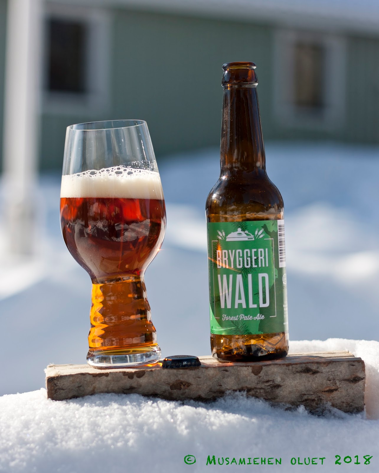 Musamiehen oluet: Bryggeri Wald Forest Pale Ale – Bryggeri